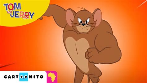 Tom And Jerry Show Their Muscles Cartoonito Africa Youtube
