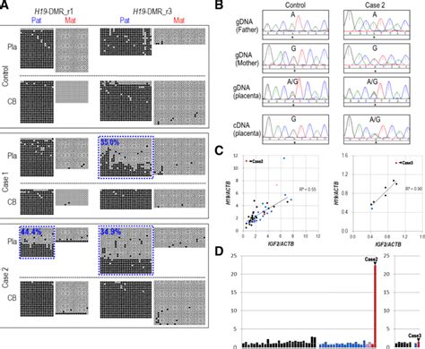 Allelic Dna Methylation And Expression Analyses And Quantitative