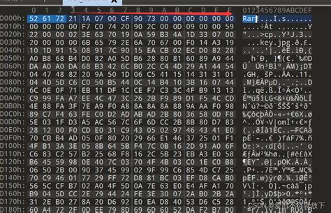 bugku reverse——convert csdn博客