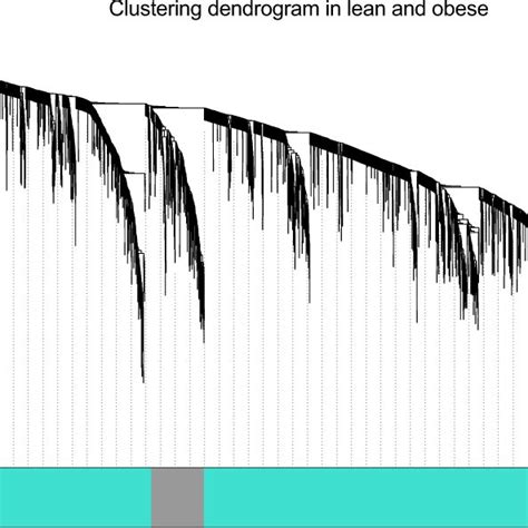 Gene Dendrogram Showing Gene Co Expression Modules In Islets From Lean Download Scientific