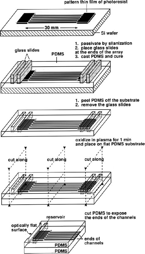 Figure 1 From Fabrication Of Liquid‐core Waveguides By Soft Lithography