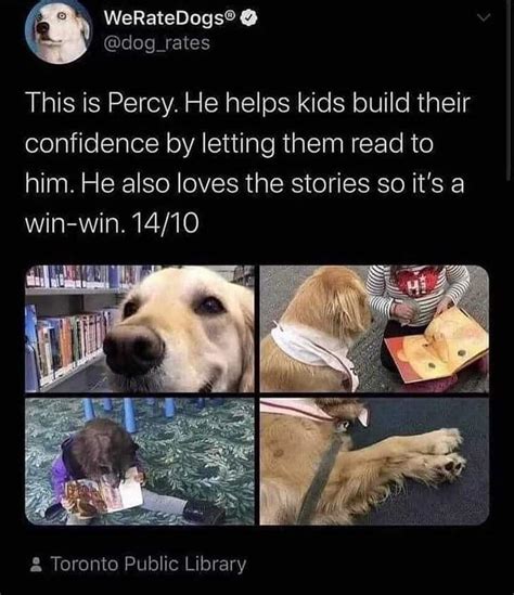 Thats Cute R Wholesomememes