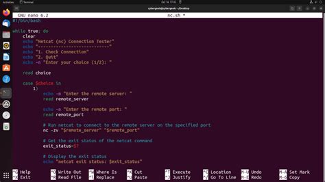 How To Display Nc Return Value In Linux Shell Script Geeksforgeeks