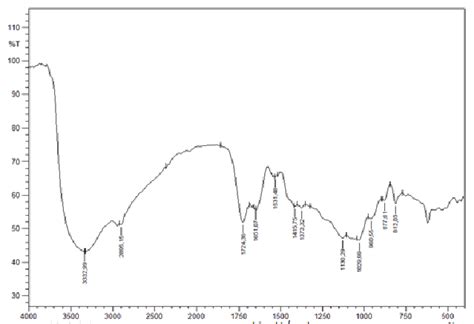 Ir Spectra Of Ethanol Fraction Download Scientific Diagram