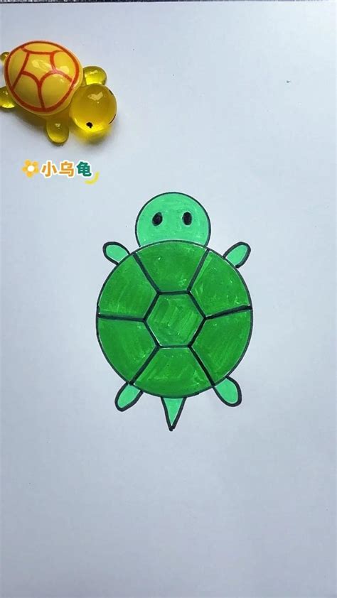 幼儿乌龟简笔画 简笔画图片大全