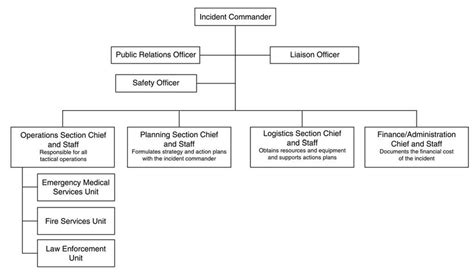 The Organizational Structure Of The ICS Shows The Relationship Between Download Scientific