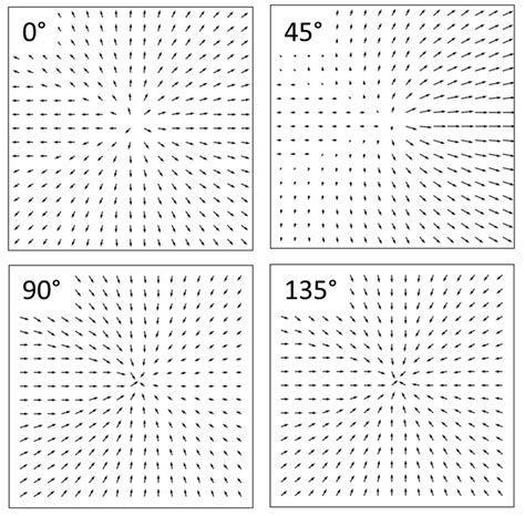 Meta Component Examplespatially Varying Polarization Planopsim