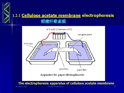 Chapter 2 Electrophoresis Techniques Summarize The Introduction Of
