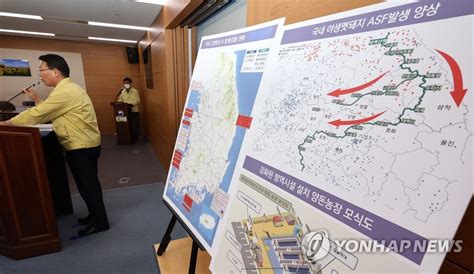 아프리카돼지열병 빠르게 남하…치사율 100 육박 초비상 종합 나무뉴스