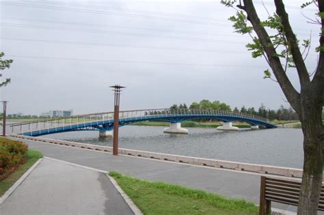 东沙湖生态公园图册 360百科