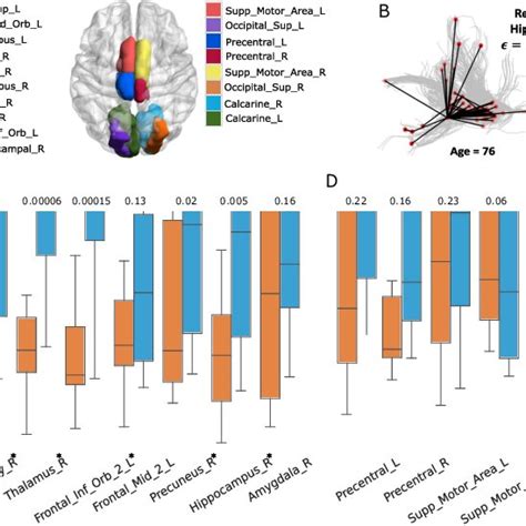 Reeb Graph Analysis Of Brain Rois A Relevant And Preserved Brain