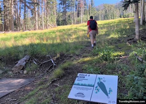 Arizona Snowbowl Disc Golf A Players Guide