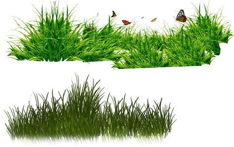 Free Free Grass Cliparts Download Free Free Grass Cliparts Png Images