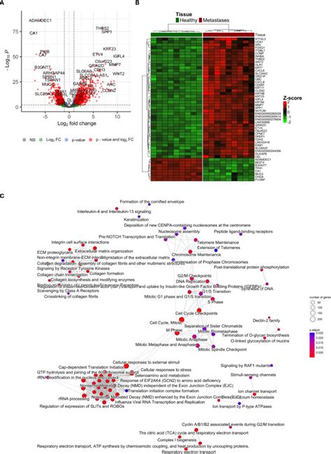 Differences In Genome Transcriptome Mirnaome And Methylome In Synchronous And Metachronous