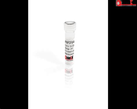 Recombinant Human Basic Fibroblast Growth Factor Plus Rhbfgfplus