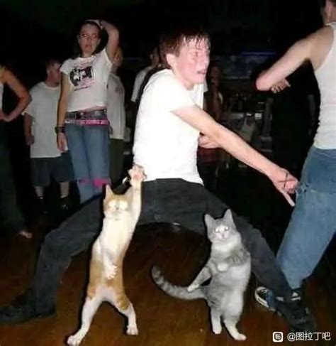 事件查看器里每次关机都有vss（卷影复制服务）报错图拉丁吧百度贴吧