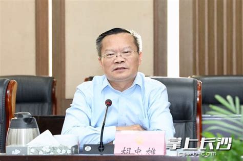 胡忠雄专题调度22条工业新兴及优势产业链办公室工作 时政 长沙晚报网