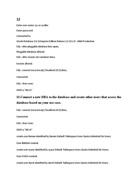 Nnect A New Dba To The Database And Create Other Users That Access The Database Based On