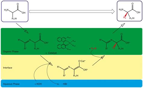 Blog Blog Specific Platforms