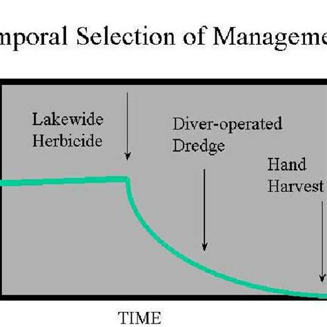 Temporal Selection Of Management Techniques Download Scientific Diagram