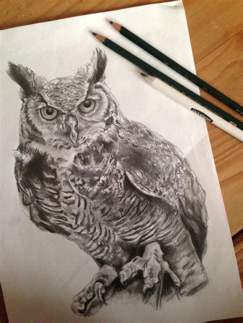Owl Drawing Realistic At Mildred Bruggeman Blog
