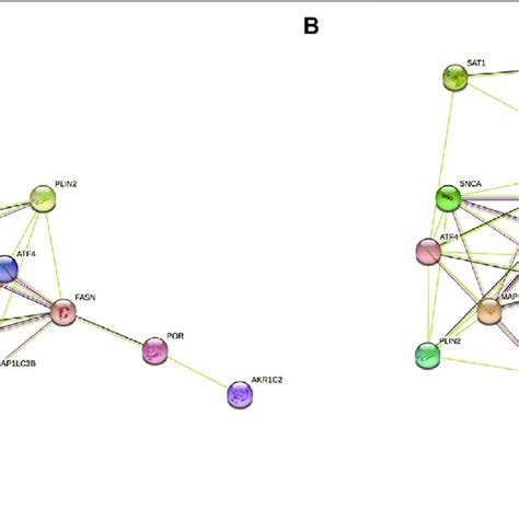 The Protein Protein Interaction Network Constructed Via String