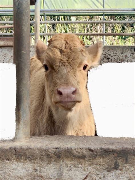 [잡담] 태어난지 한달 됐대 인스티즈 Instiz 일상 카테고리