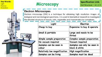 Biology Science Microscopes Lesson Activities TPT