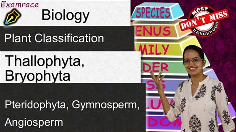 Plant Classification Thallophyta Bryophyta Pteridophyta Gymnosperm