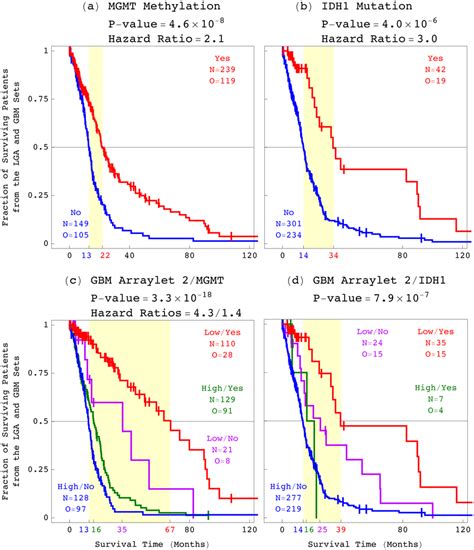 Survival Analyses Of The Astrocytoma Patients Classified By The