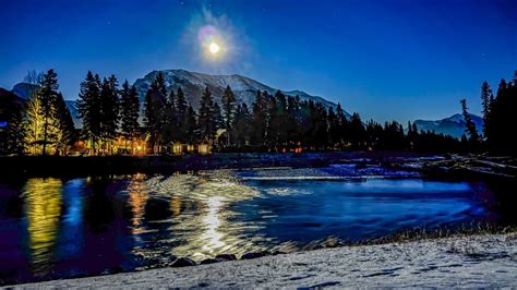 Danielle Savoni Ctvnews