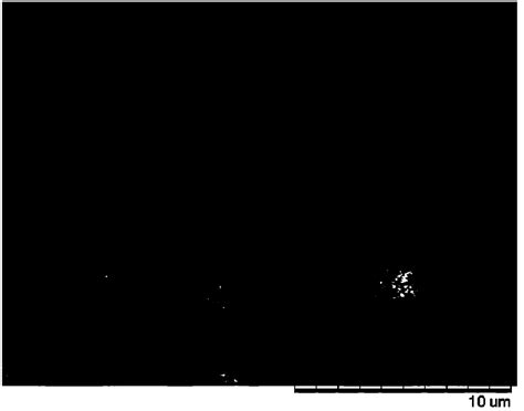 Carbon Silicon Composite Material Preparation Method Thereof Lithium