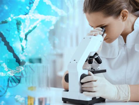 Molecular Genetics Unraveling The Secrets Of Dna Studyhub