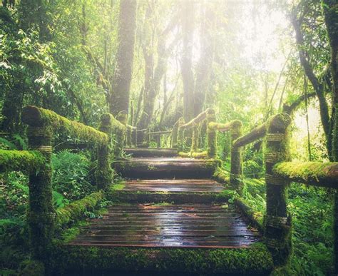 সুন্দর সুন্দর পিক দেখান সুন্দর সুন্দর পিকচার সুন্দর সুন্দর ছবি ডাউনলোড করুন