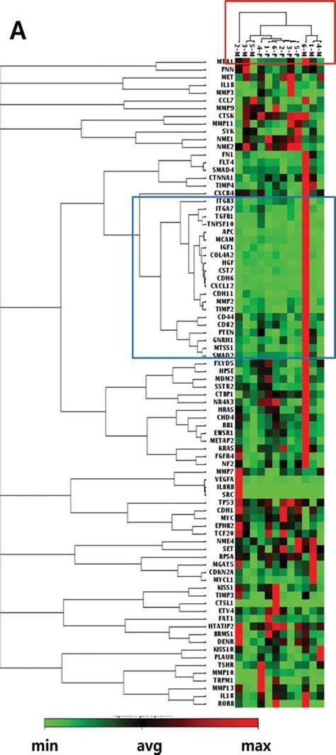 a unsupervised two dimensional hierarchical clustering red square is