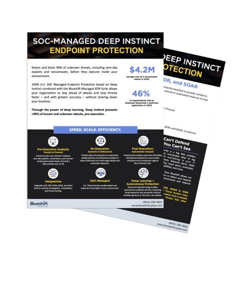 Deep Instinct Endpoint Protection Secure Now