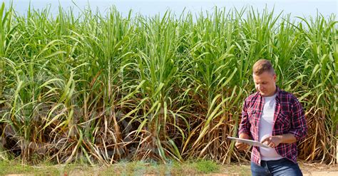 Empowering Clients With Flexible Workflow Setup In Sugarcube Sugar