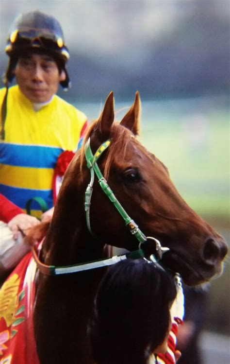 ジャングルポケット～第三の敵を打ち破り、府中の杜に轟いた咆哮～ ウマフリ 競馬コラム＆ニュース