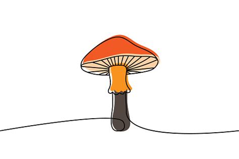 버섯 한 줄 색깔의 연속 그림 버섯 연속 한 줄 다채로운 일러스트레이션 벡터 미니멀리스트 선형 일러스트 레이 션 0명에 대한