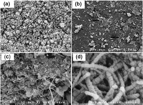 Field Emission Scanning Electron Microscopy FE SEM Micrographs Of The Download Scientific