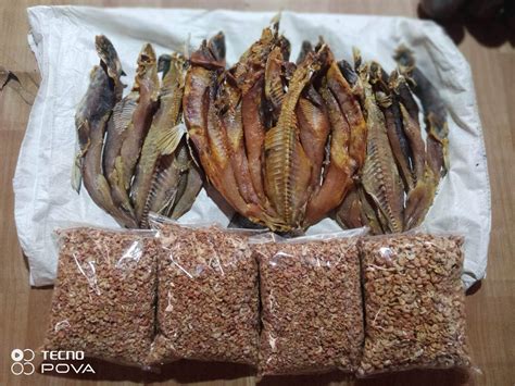 18 19 5 2023 ️ကလေး ️မော်လမြိုင် ️ပြင်ဦးလွင်1 ️ကျွန်းလှ ️ကြည့်မြင်တိုင် ️ပြင်ဦးလွင်2 ️ရပ်စောက