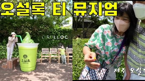 오설록 티 뮤지엄에서 녹차 아이스크림 오설록 피크닉세트 먹어보기 Youtube