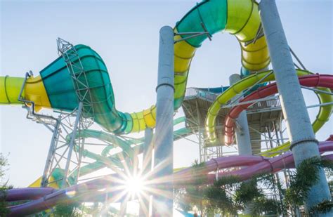 Adventure Island 5 Thrilling Water Slides That Will Give You