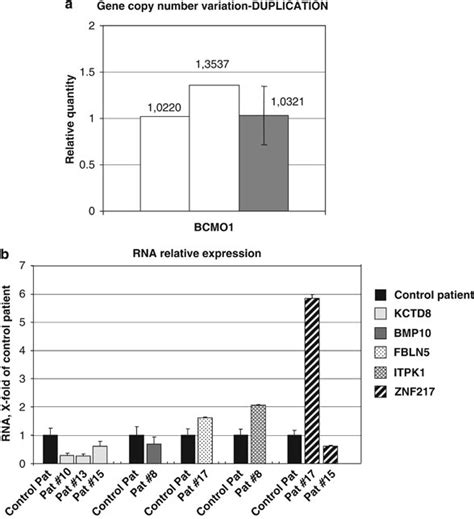 Confirmation Of Array Based Comparative Genomic Hybridisation Data By Download Scientific