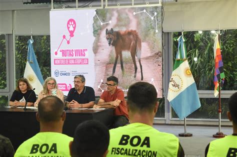 Ruta Vivas Jornada Para Proteger La Fauna Autóctona En El Chaco Eldifusor