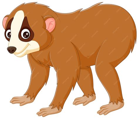 Premium Vector Cute Slow Loris Cartoon Isolated On White Background Vector Illustration