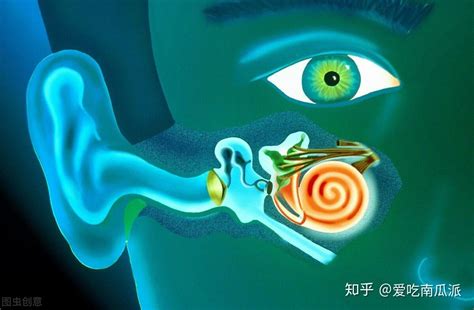 听说鼓膜穿孔后不能戴助听器，是真的吗？ 知乎