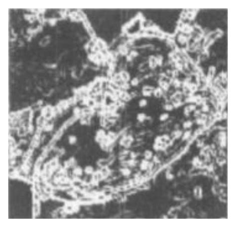 Subpixel Method Edge Positioning Download Scientific Diagram