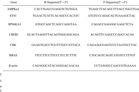 Qrt Pcr Primer Sequences Of Rat Download Scientific Diagram