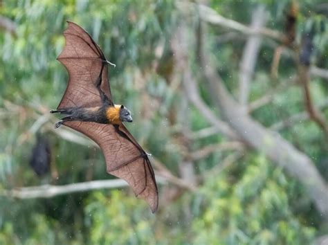 Bringing Landholders And The Local Community To Act For Nature
